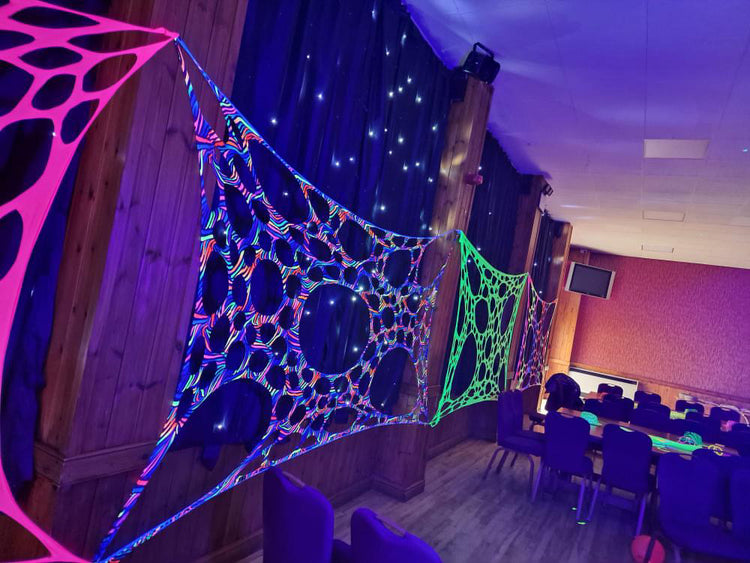 Rainbow Zebra Black Light Ceiling Decor, funky wall hanging, UV events ...