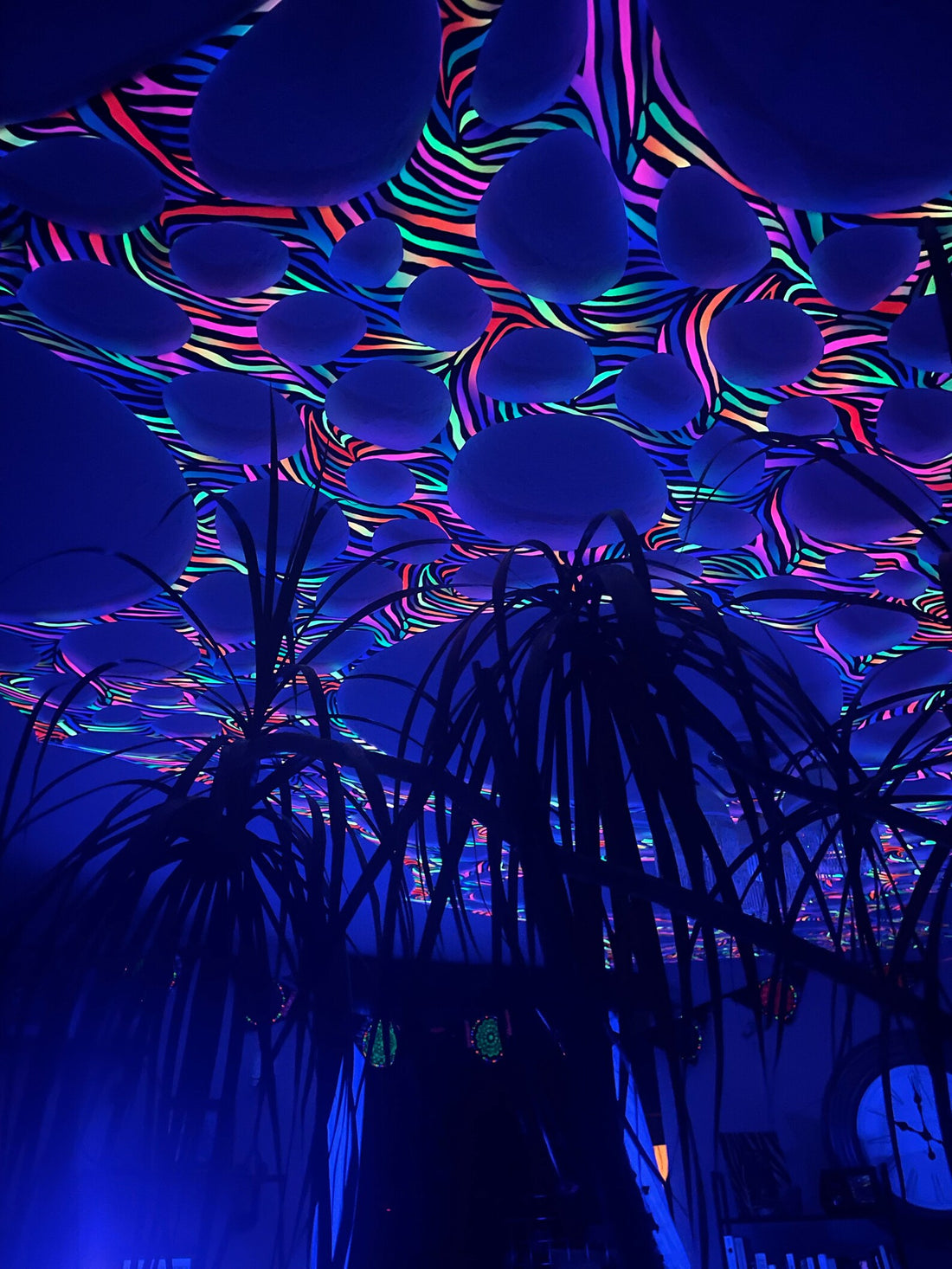 Rainbow Zebra Black Light Ceiling Decor, funky wall hanging, UV events ...
