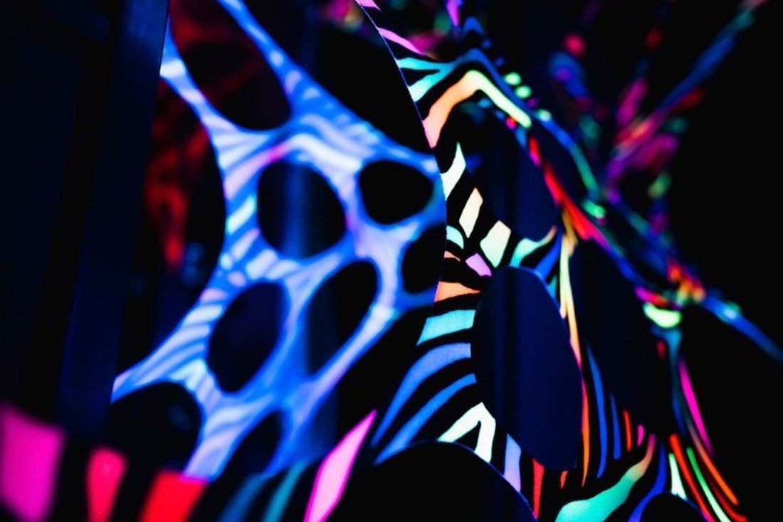 Rainbow Zebra Black Light Ceiling Decor, funky wall hanging, UV events ...