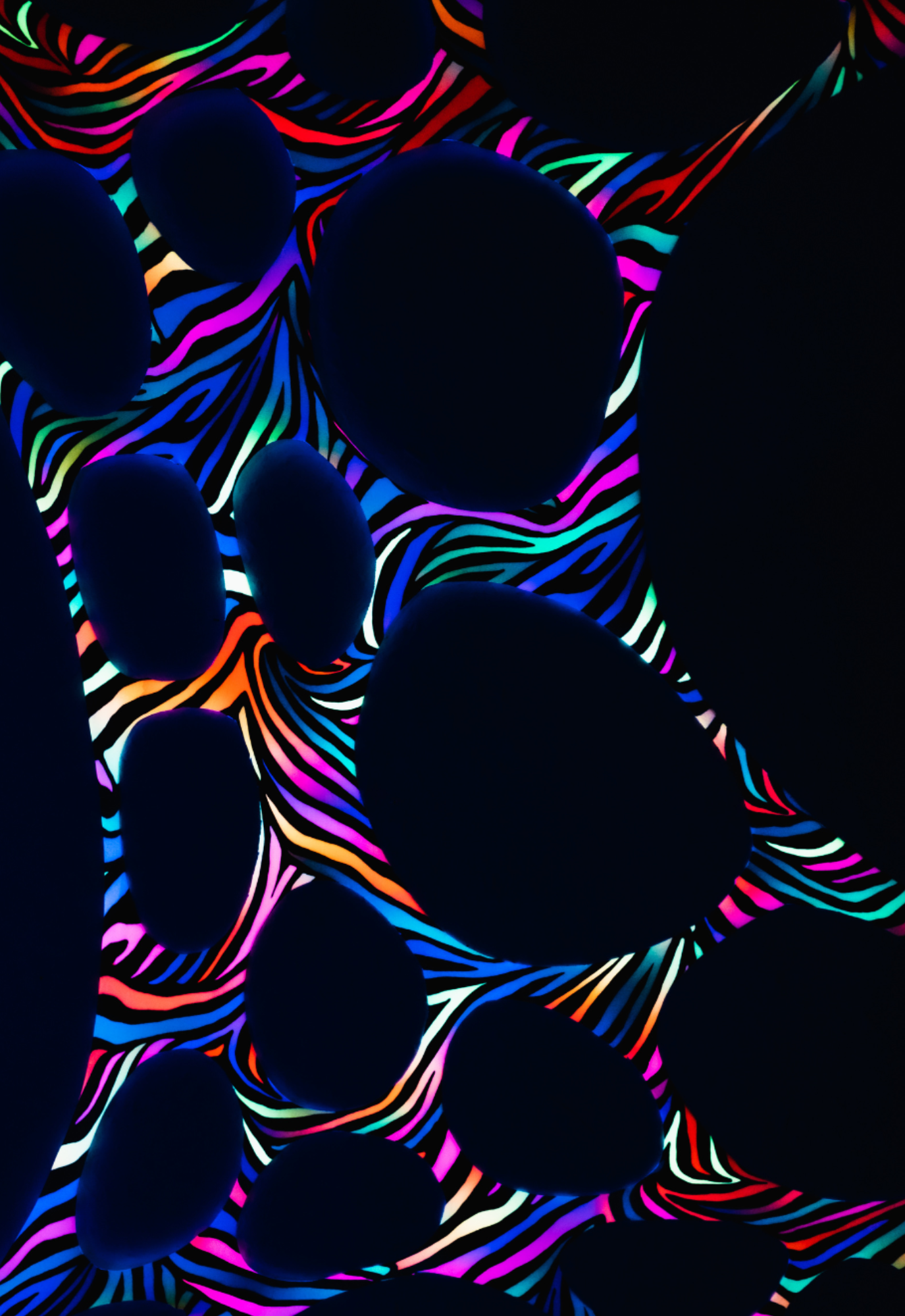 Rainbow Zebra Black Light Ceiling Decor, funky wall hanging, UV events ...